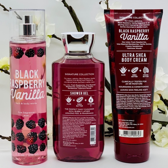 Bath & Body Works | Skincare | Bath Body Works Black Raspberry Vanilla ...